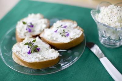 Easy Cheese Spread Recipe