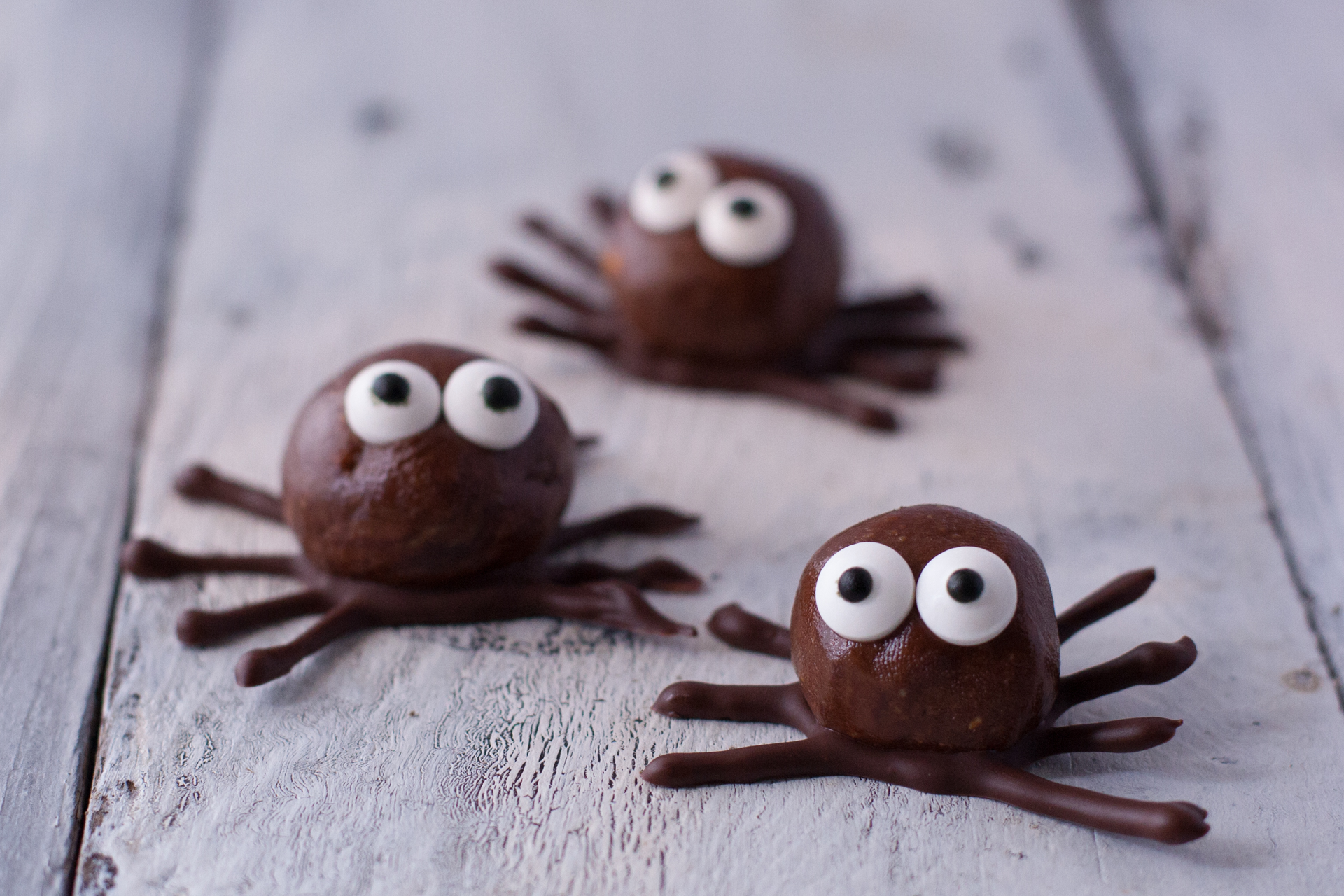 Chocolate Peanut Butter Protein Ball Spiders Recipe