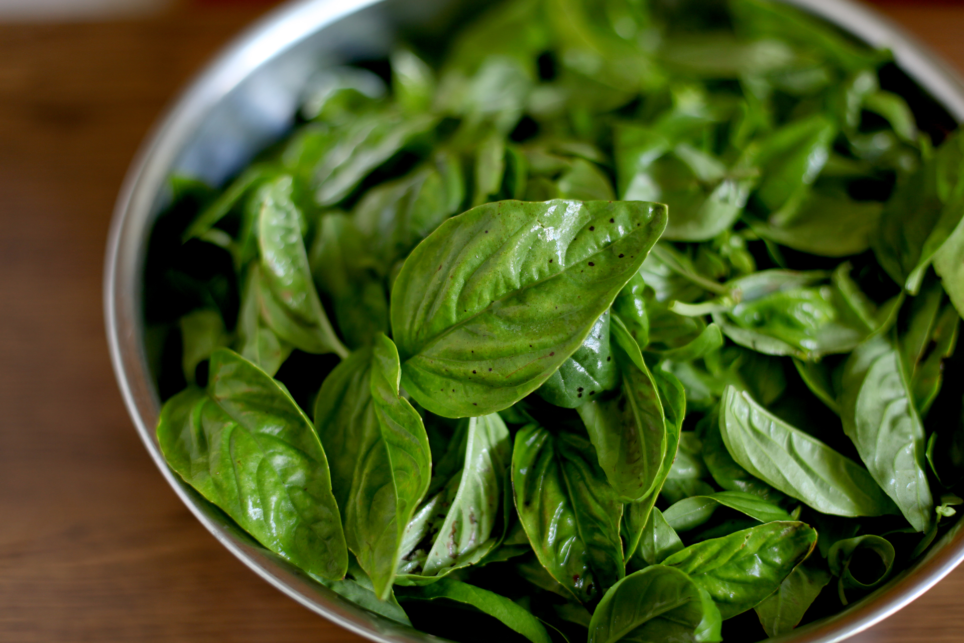 Tips for Planting a Kids Vegetable Garden - Eating Richly