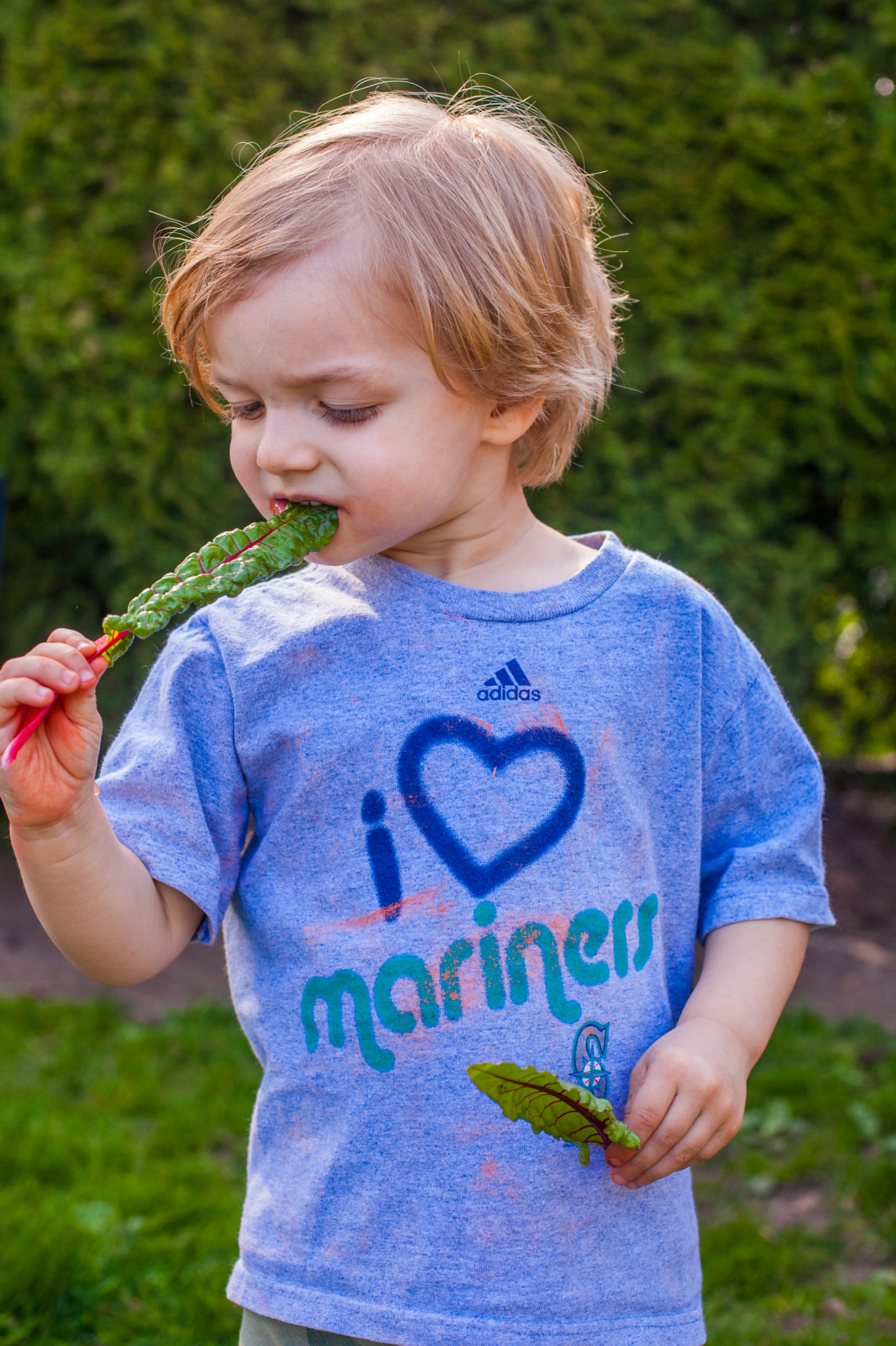 Tips for Planting a Kids Vegetable Garden - Eating Richly