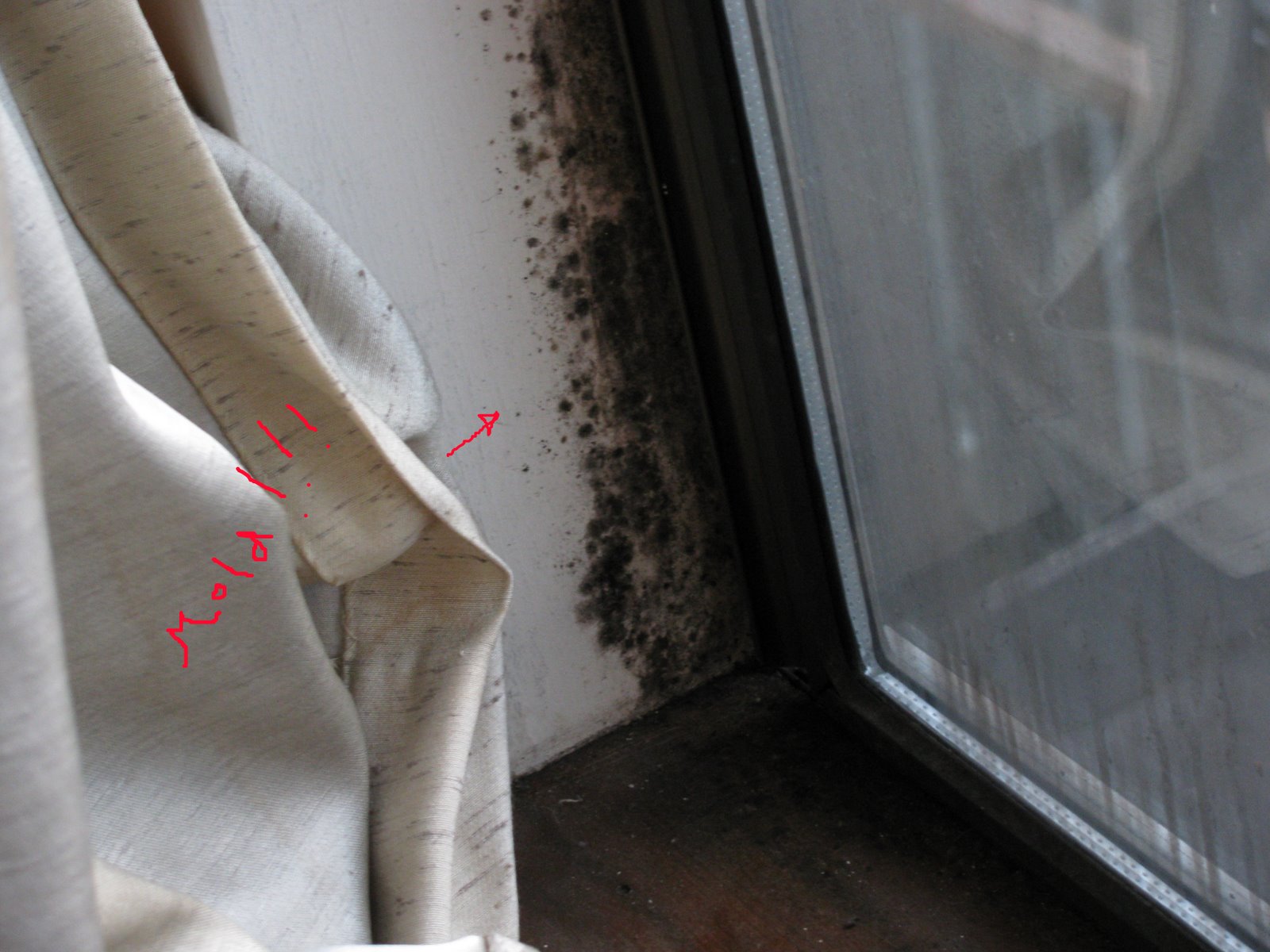 Grossness! - Eating Richly