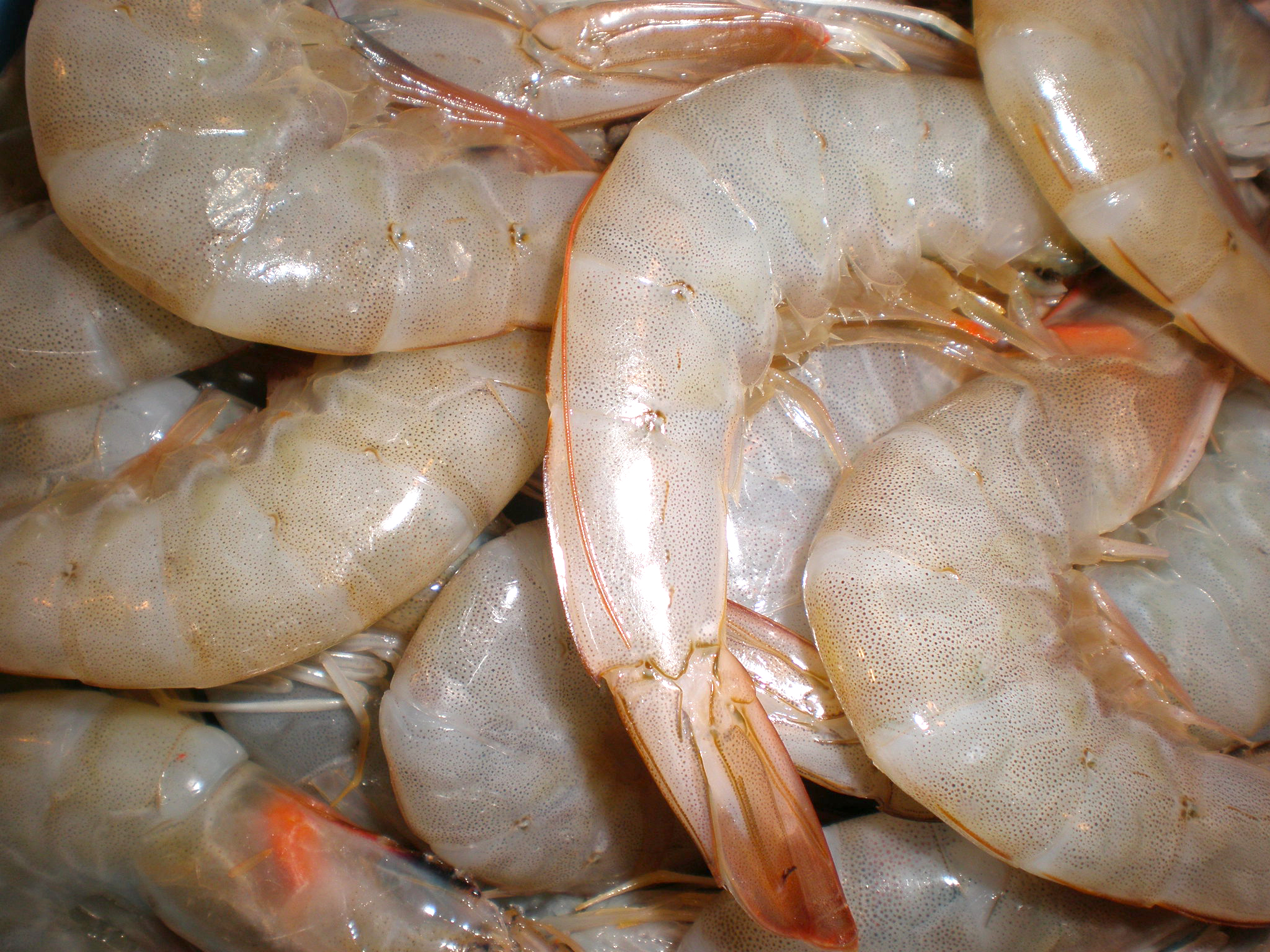 Shrimp and Asparagus Stir Fry in Under 30 Minutes! - Eating Richly Recipe