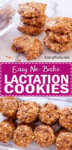 No Bake Lactation Cookies Dairy Free and Gluten Free - Eating Richly